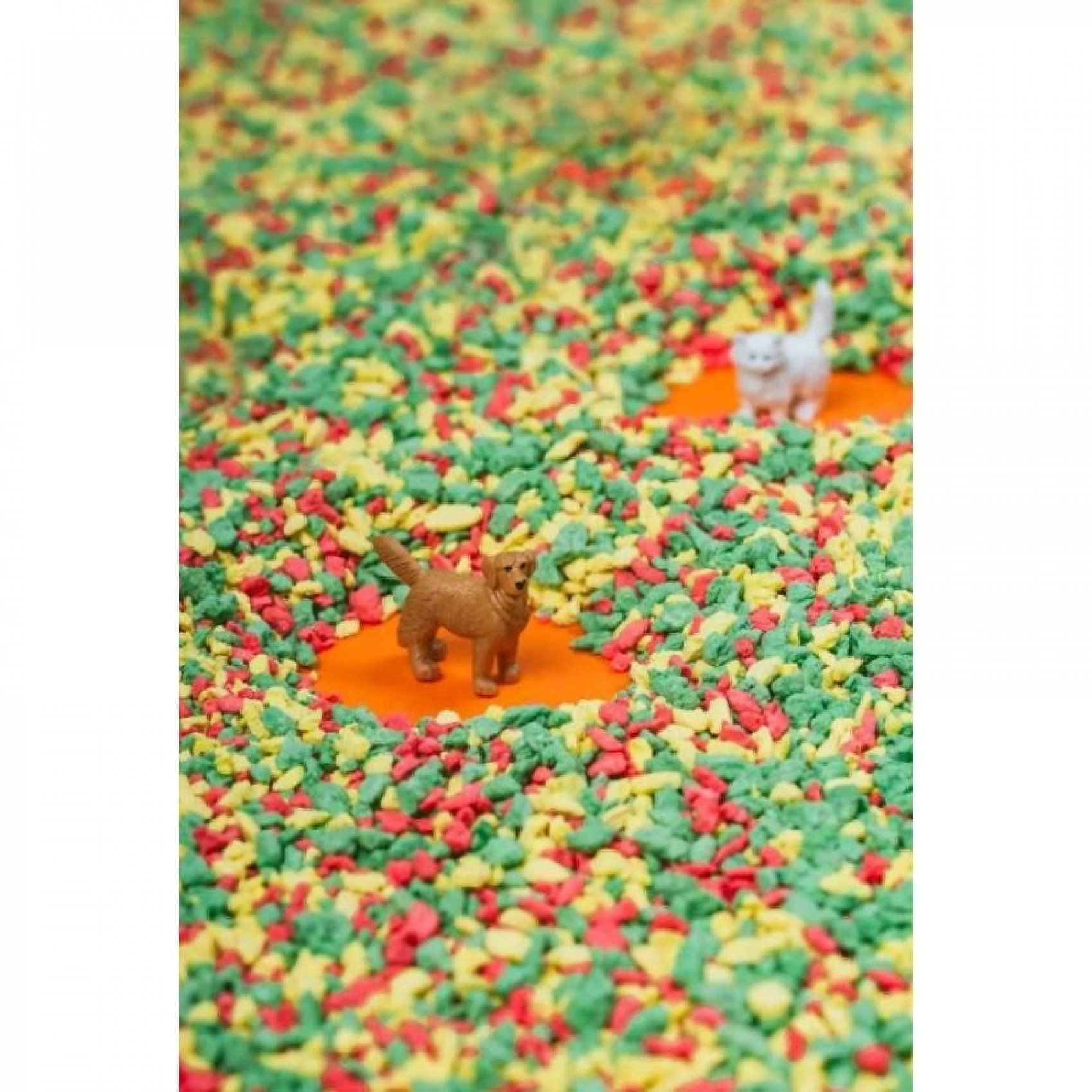 Bouteille Sensorielle Petit Boum - Spy Animaux de compagnie ...