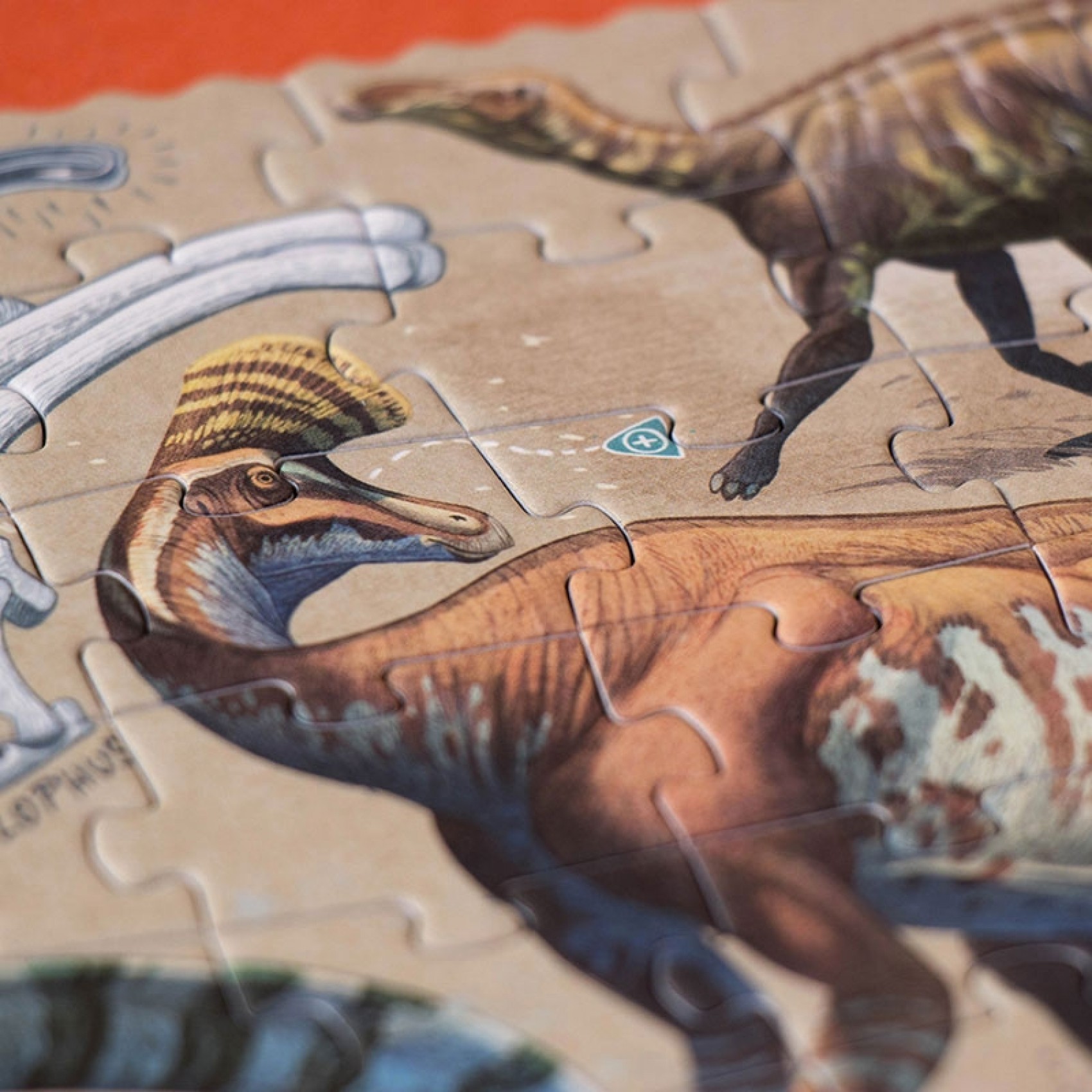 Puzzle dinos explorer 350 pièces | Jeujouethique.com